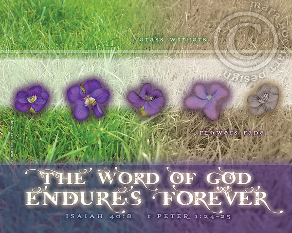 Endures Forever - frameable print - Shine Living