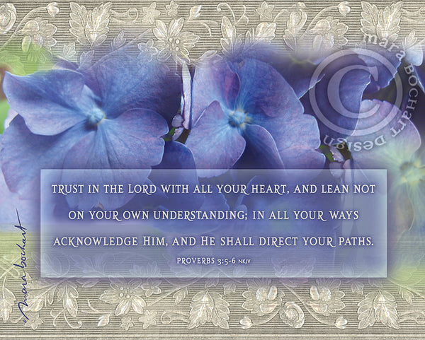 Trust in the Lord - closeout poster - Shine Living