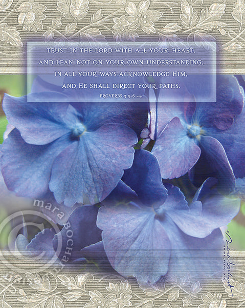 Trust in the Lord - closeout poster - Shine Living